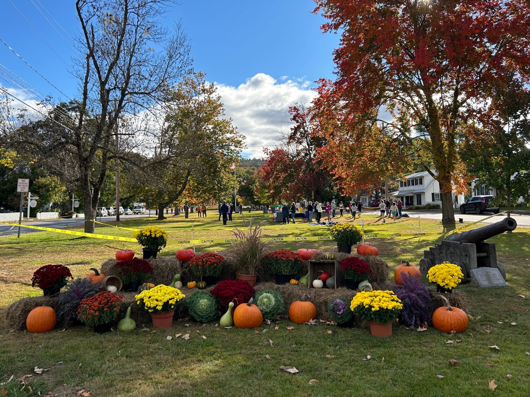BLISTERS FOR BOOKS 2025 - Converse Free Library